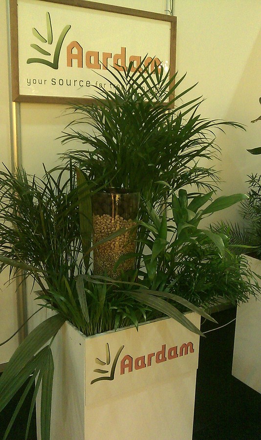 Kwekerij Aardam - Your SOURCE for tropical plants