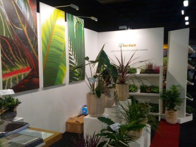 Kwekerij Aardam - Your SOURCE for tropical plants